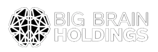 https://www.bigbrain.holdings/